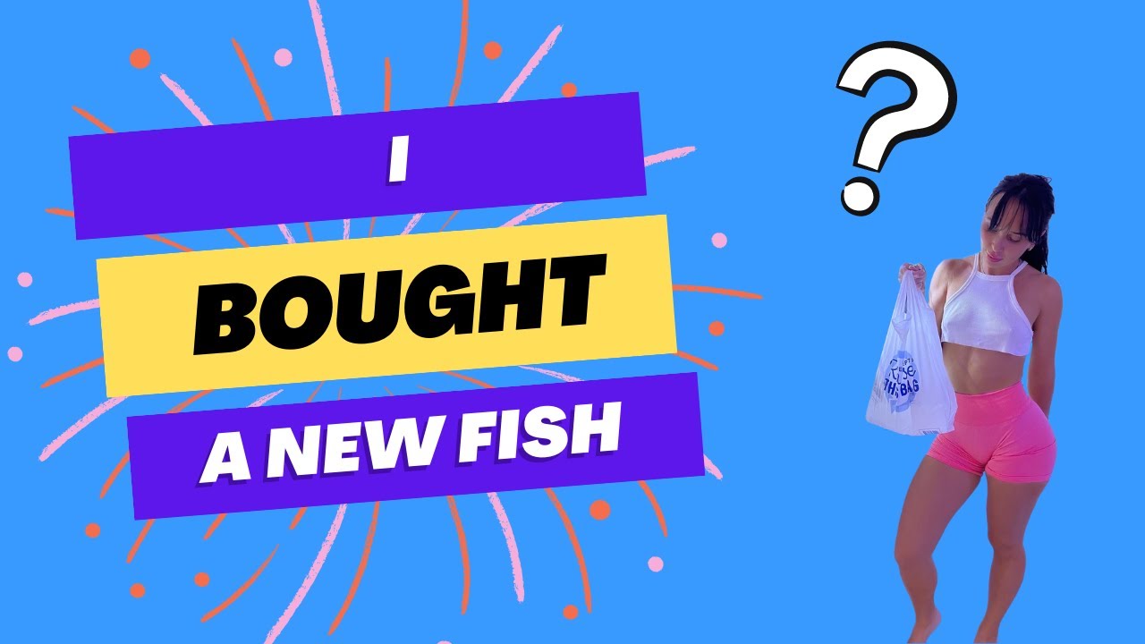 Picking Up New Saltwater Fish! - YouTube