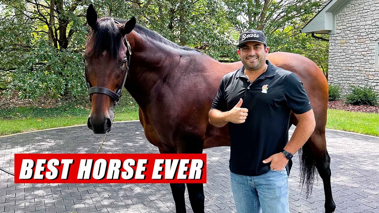 Meeting A Triple Crown Winner | Jared Freid - YouTube