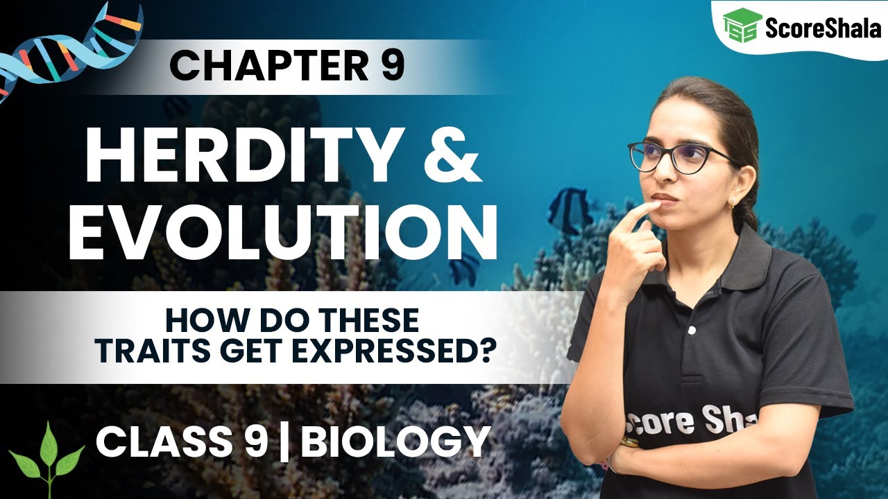Heredity And Evolution Class 10- How Do These Traits Get Expressed ...