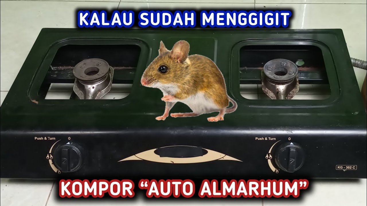 BINGUNG? Kompor Gas Tidak Mau Hidup Karna Digigit Tikus? INI SOLUSINYA ...