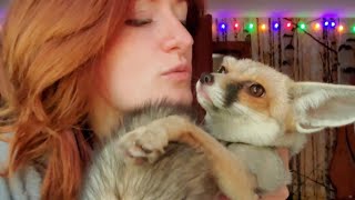 Callie Fox's Instagram, Twitter & Facebook on IDCrawl