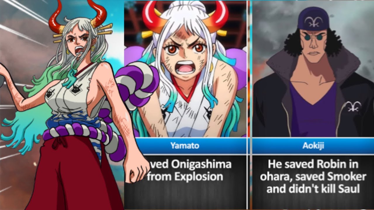 Gentle Souls: The Kindest Characters in One Piece - YouTube