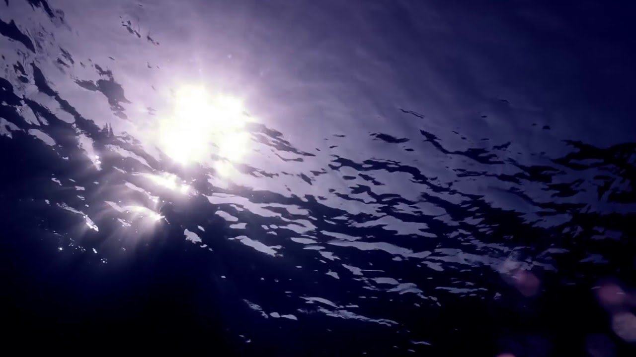 Evening Meditation to Reflect & Unwind Before Sleep - YouTube