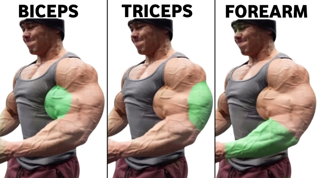 Quick 6 Bicep, Tricep and Forearm Workout At Home.(for Beginners) - YouTube