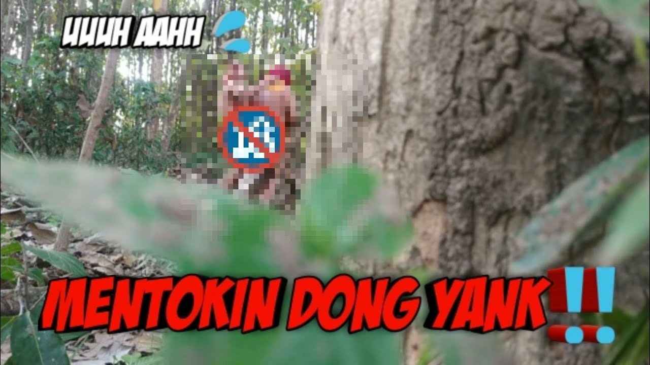 ENA ENA DI KEBON JATI PUN JADI‼️Bang sams - YouTube