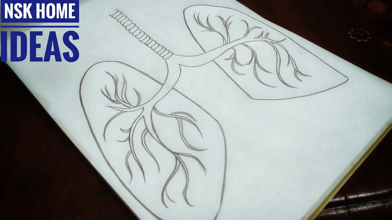 World Tuberculosis Day Drawing|World Tuberculosis Day Sketch ...