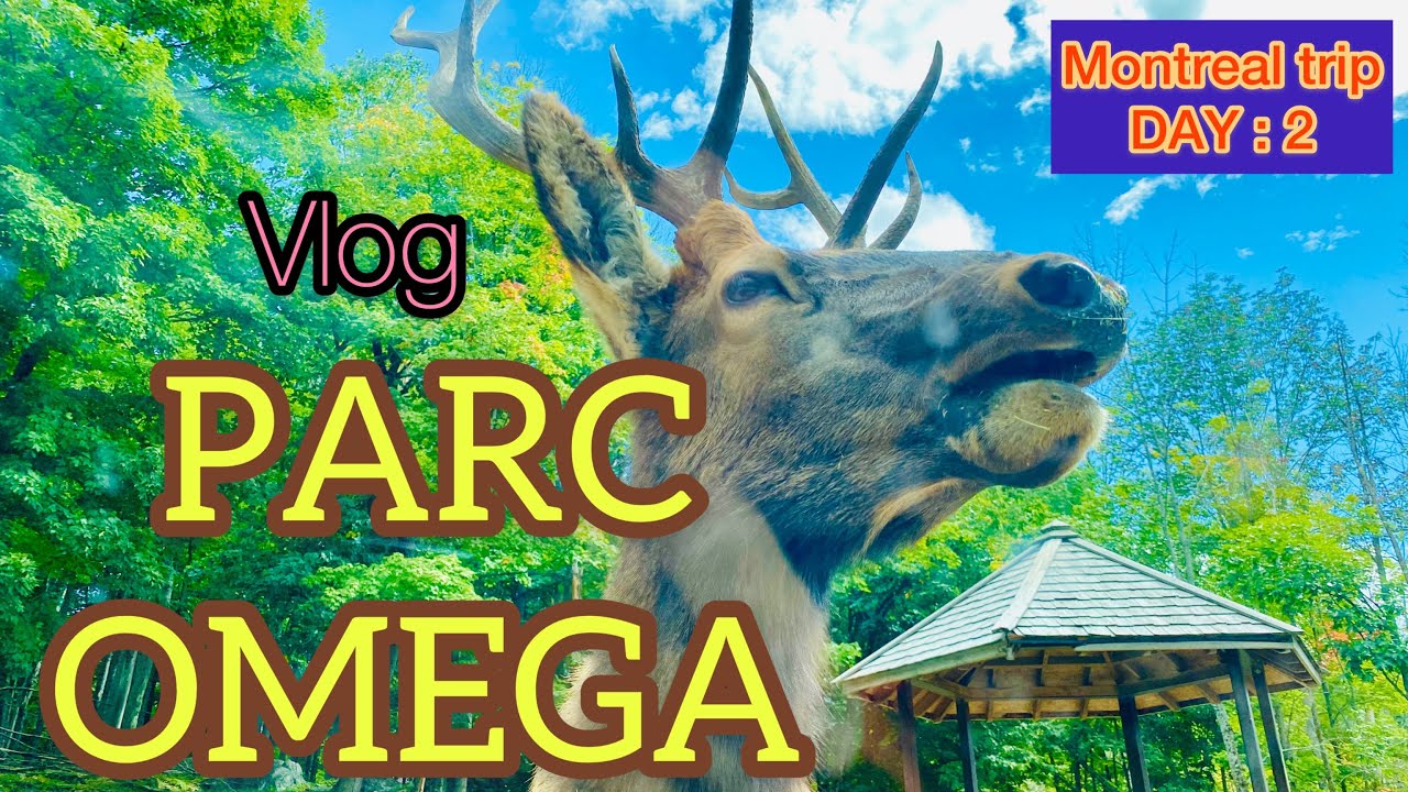 PARC OMEGA Vlog | Montreal day-2 | janki khatroja | GirlYou LookedFor - YouTube