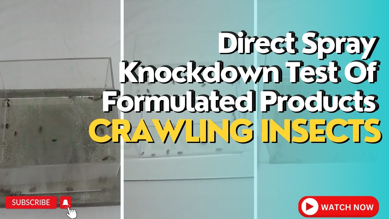 Direct Spray Knockdown Test (DSKD) of Formulated Products on Crawling ...