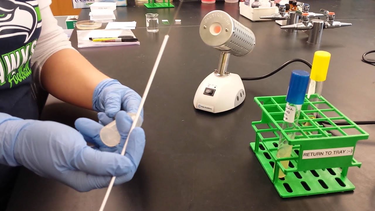 Aseptic Transfer Using A Bacti-Loop - YouTube