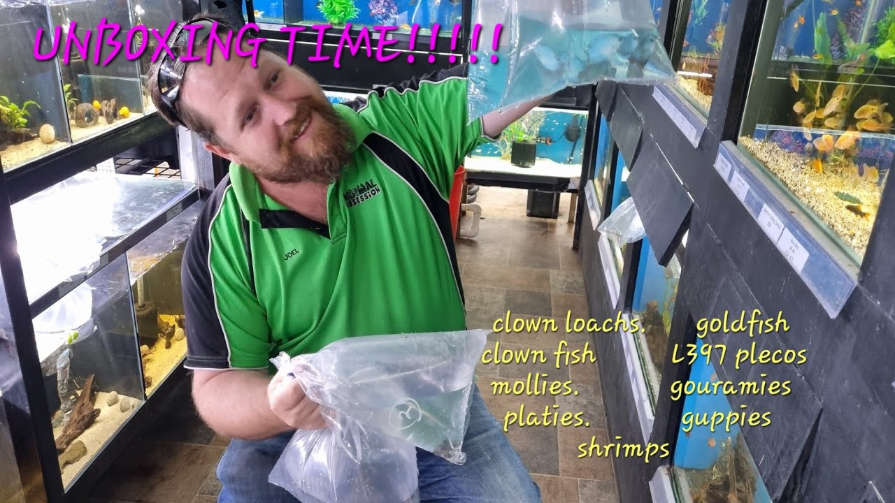 Another week another 8 boxes of fish, check out what Joel has been ...