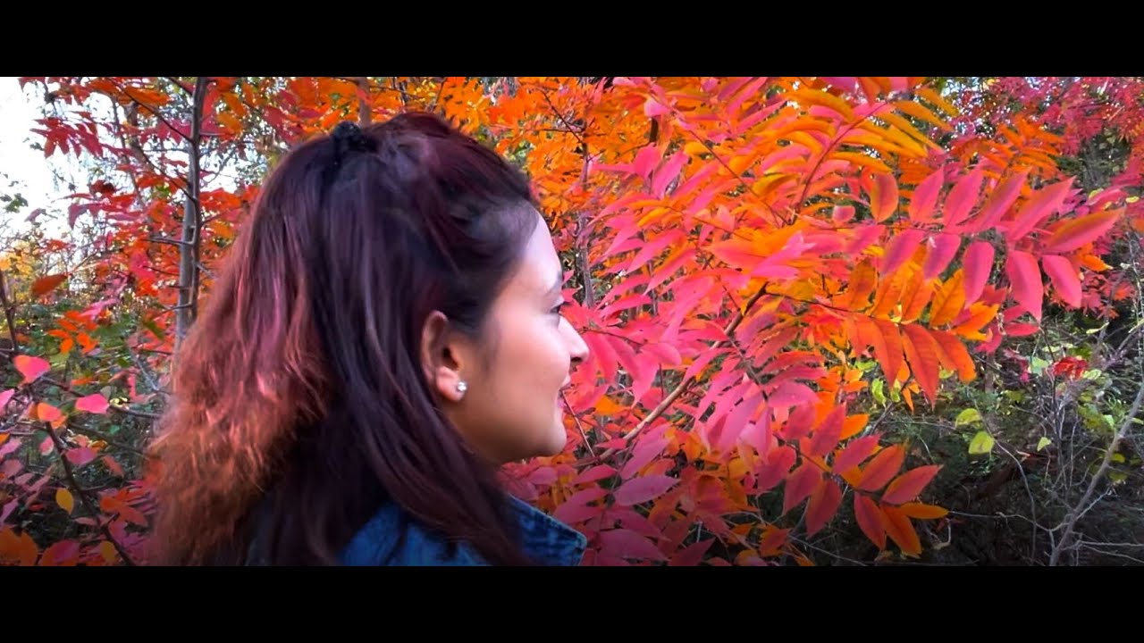 Nawaj Ansari - HOORI (Official Music Video) - YouTube