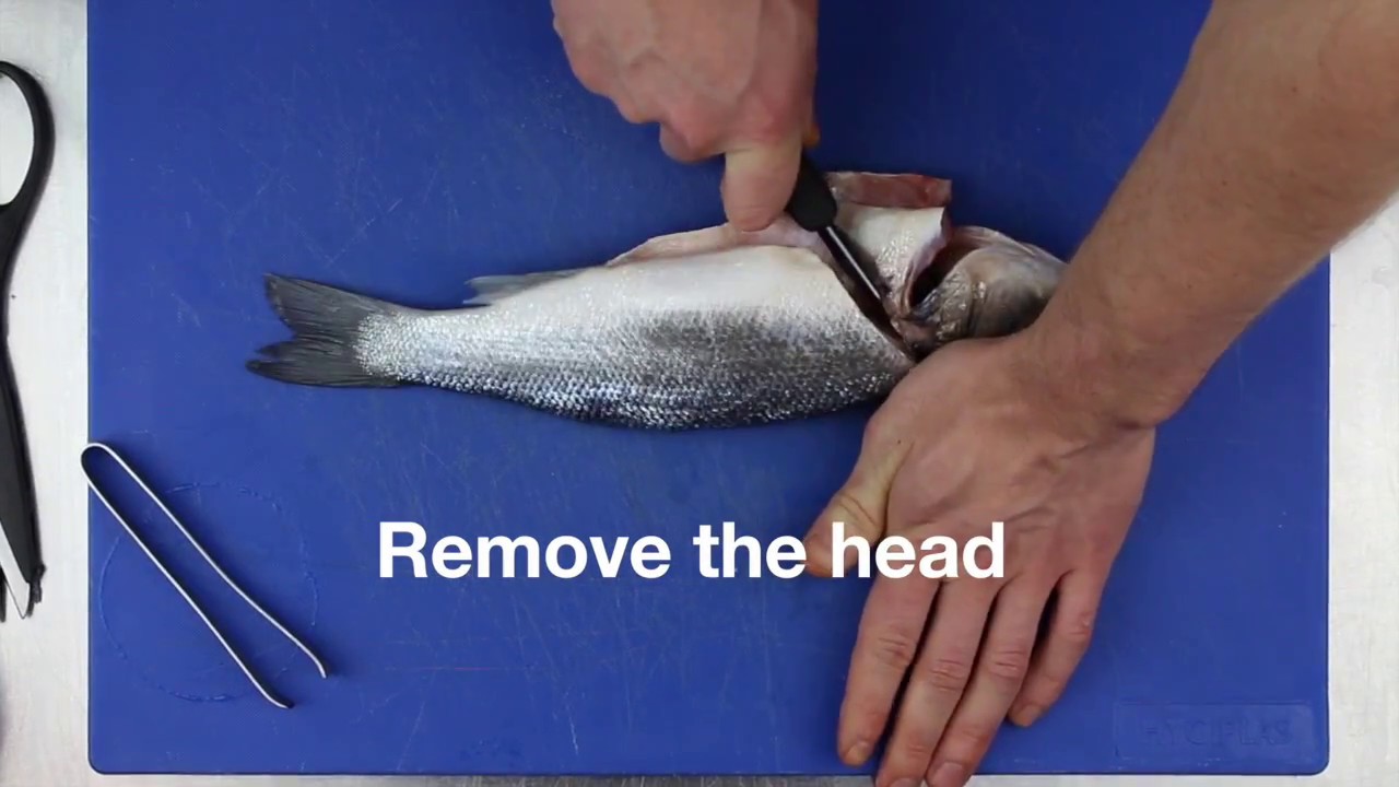 Fillet of Sea Bass with Crispy Kale and Confit Potato - YouTube