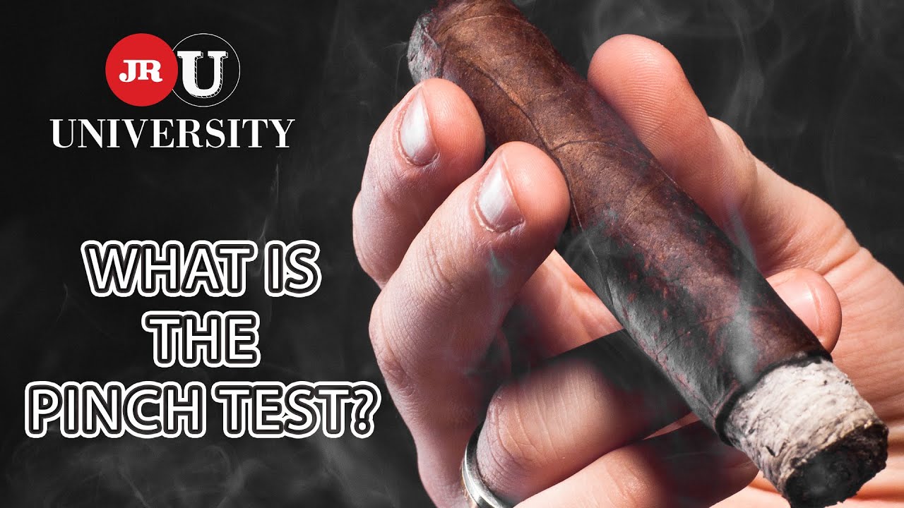 What is the Pinch Test? - YouTube