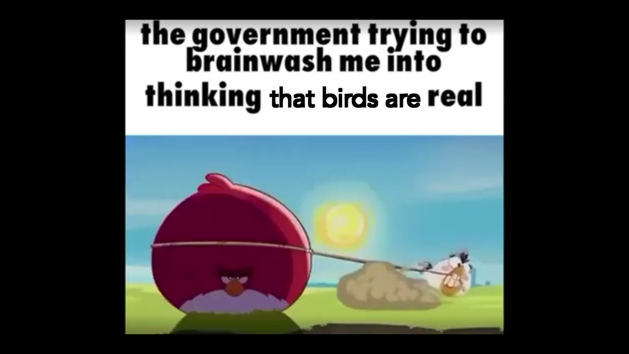 Mini-Meme Compilation #1 - YouTube