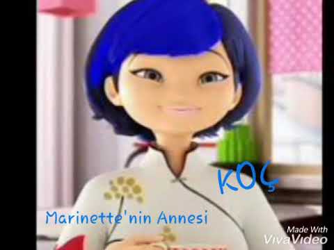MUCİZE UĞUR BÖCEĞİ VE KARA KEDİ BURÇLAR