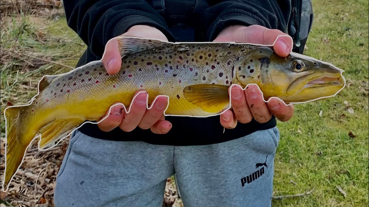 Winter Trout Fishing In New Jersey For WILD Brown Trout! - YouTube