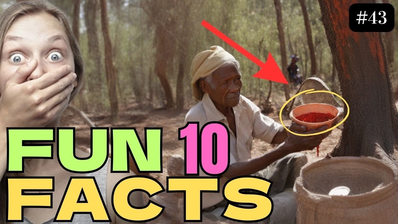 10 Interesting Facts Let's explore the mysterious phenomenon of ...
