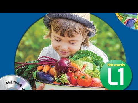 Insight link L1 (unit 5. fun book holiday ) - YouTube