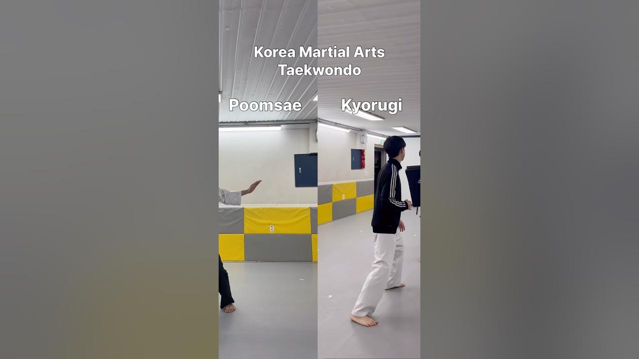 태권도 겨루기와 품새🥋🔥 #tkd #taekwondo #kicks #kyorugi #poomsae #태권도 #겨루기 #품새 #추천 #shorts - YouTube