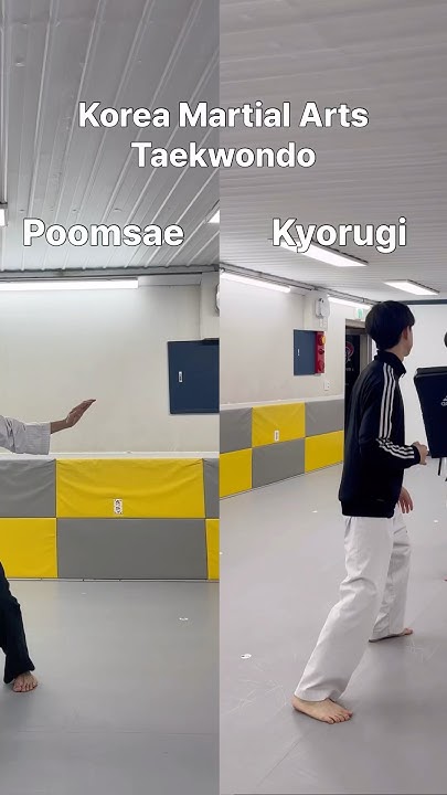 태권도 겨루기와 품새🥋🔥 #tkd #taekwondo #kicks #kyorugi #poomsae #태권도 #겨루기 #품새 #추천 #shorts - YouTube