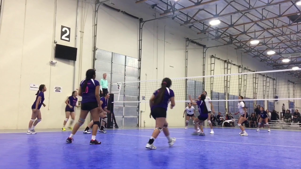 2020 Shonto Starlings Highlights - YouTube