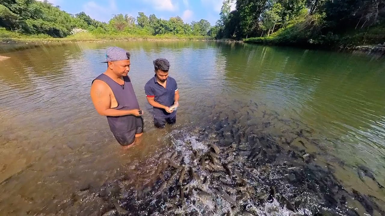 Visited Nengmandalgre Fish Sanctuary in Walliam Nagar East Garo Hills ...