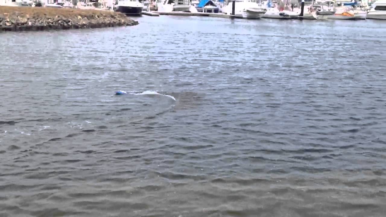 Deep Blue rc boat - YouTube