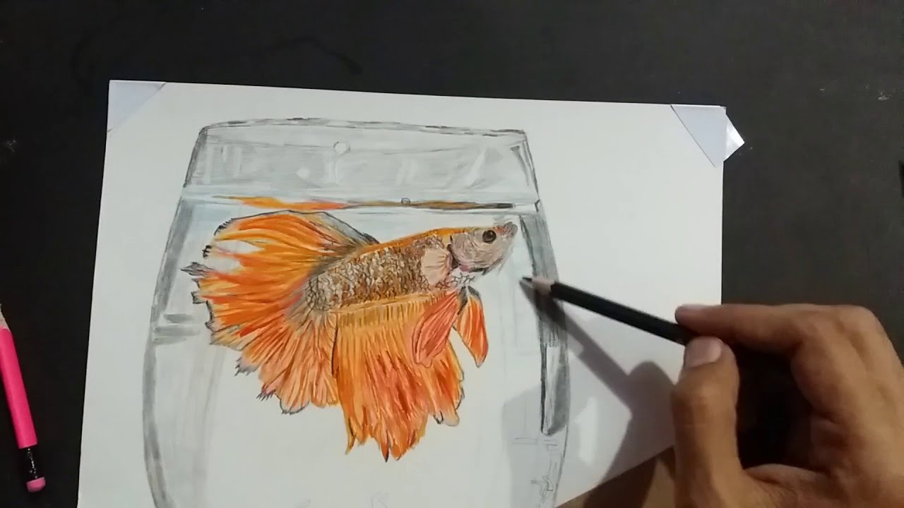How To Draw A Fish In Glass - YouTube
