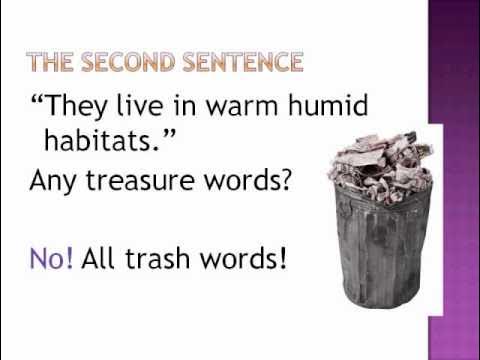 Trash and Treasure Note Taking - YouTube