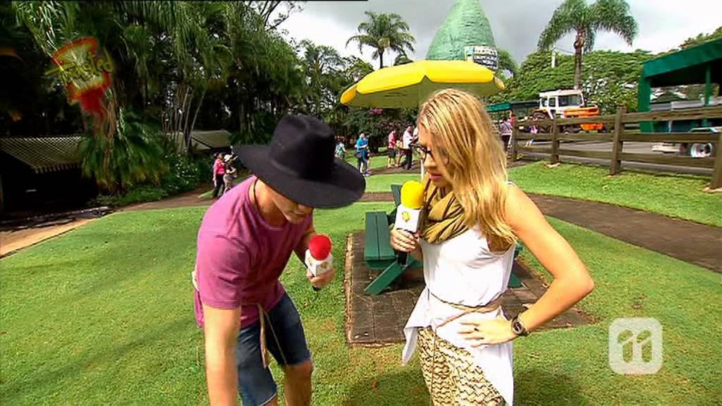 Toasted TV Road Trip Day 2 - Tropical Fruit World - YouTube