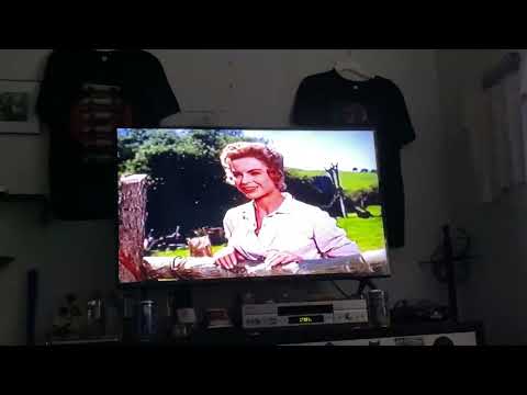 Opening to Homeward Bound the Incredible Journey 1995 VHS