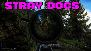 Hunting the new rogue bosses - Escape from Tarkov | Doovi