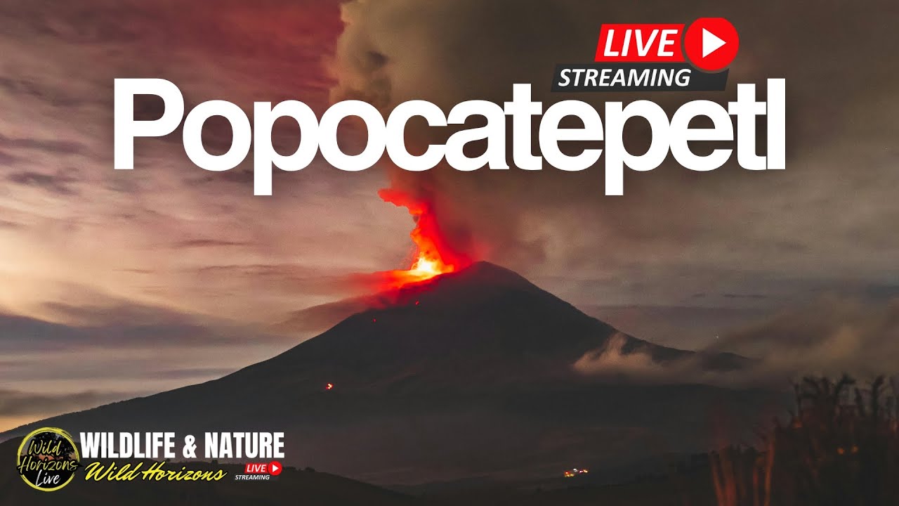 🌋 Popocatepetl Live: Mexico's Most Active Volcano - YouTube