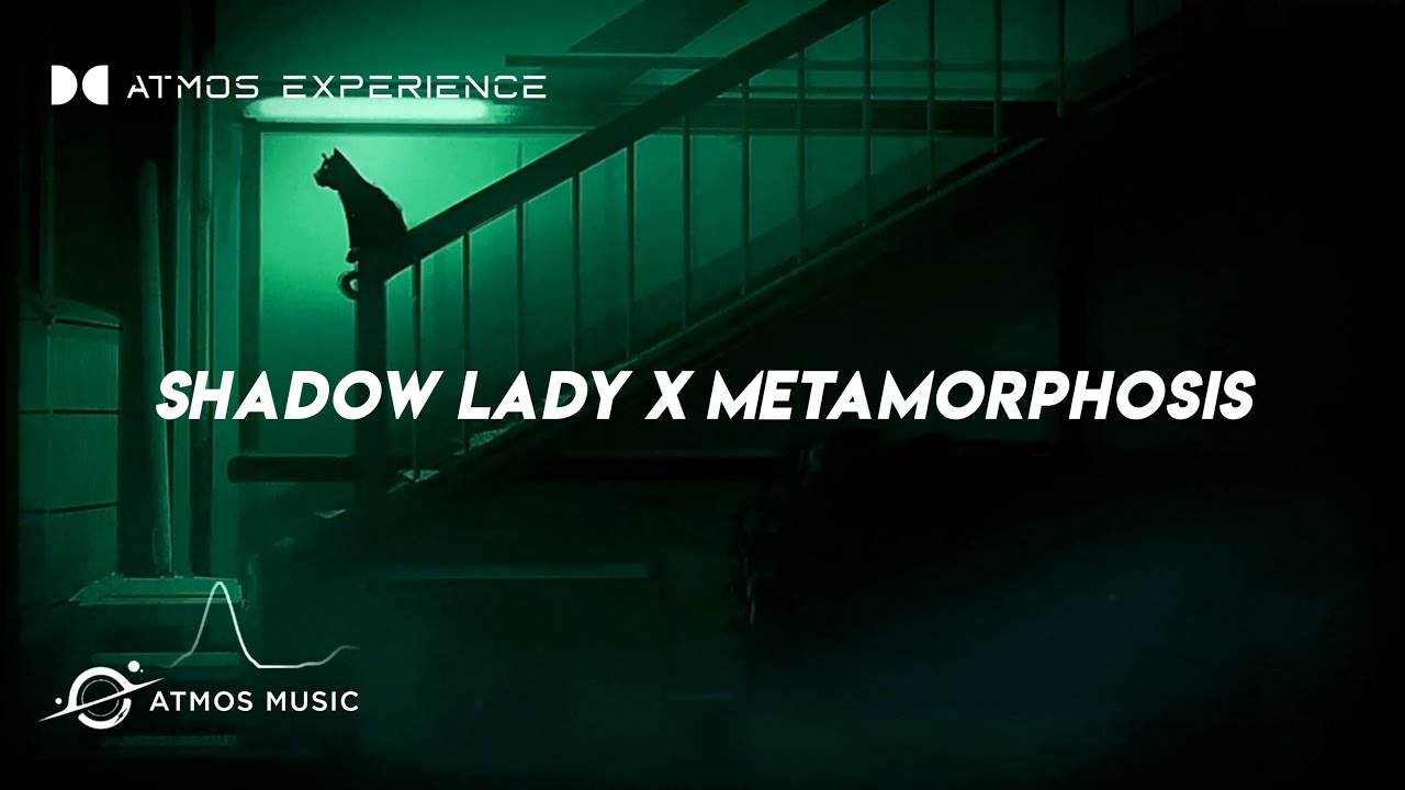 Shadow Lady x METAMORPHOSIS - Portwave, INTERWORLD [Perfectly fit with ...