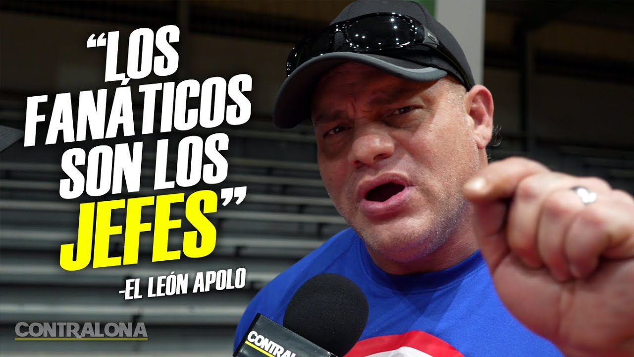 El León Apolo: "Vamos a llevar esto a como era antes, USTEDES son los ...