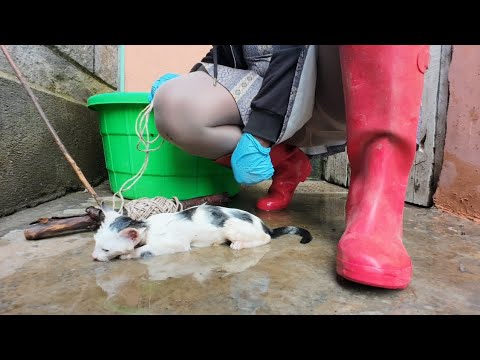 Beautiful feet asmr//playing with cat//#trampline #crash #crushing #fee