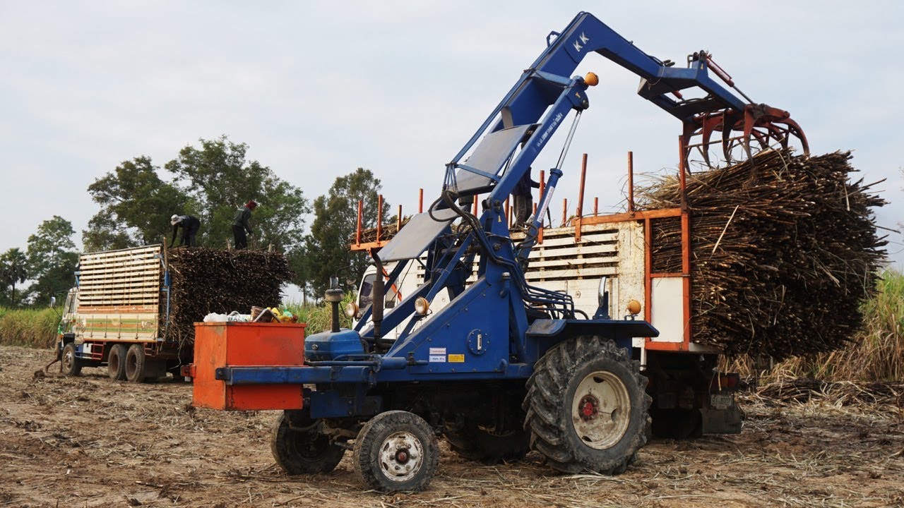 รถคีบอ้อยใส่รถบรรทุก Stackers cane | Che Chef - YouTube