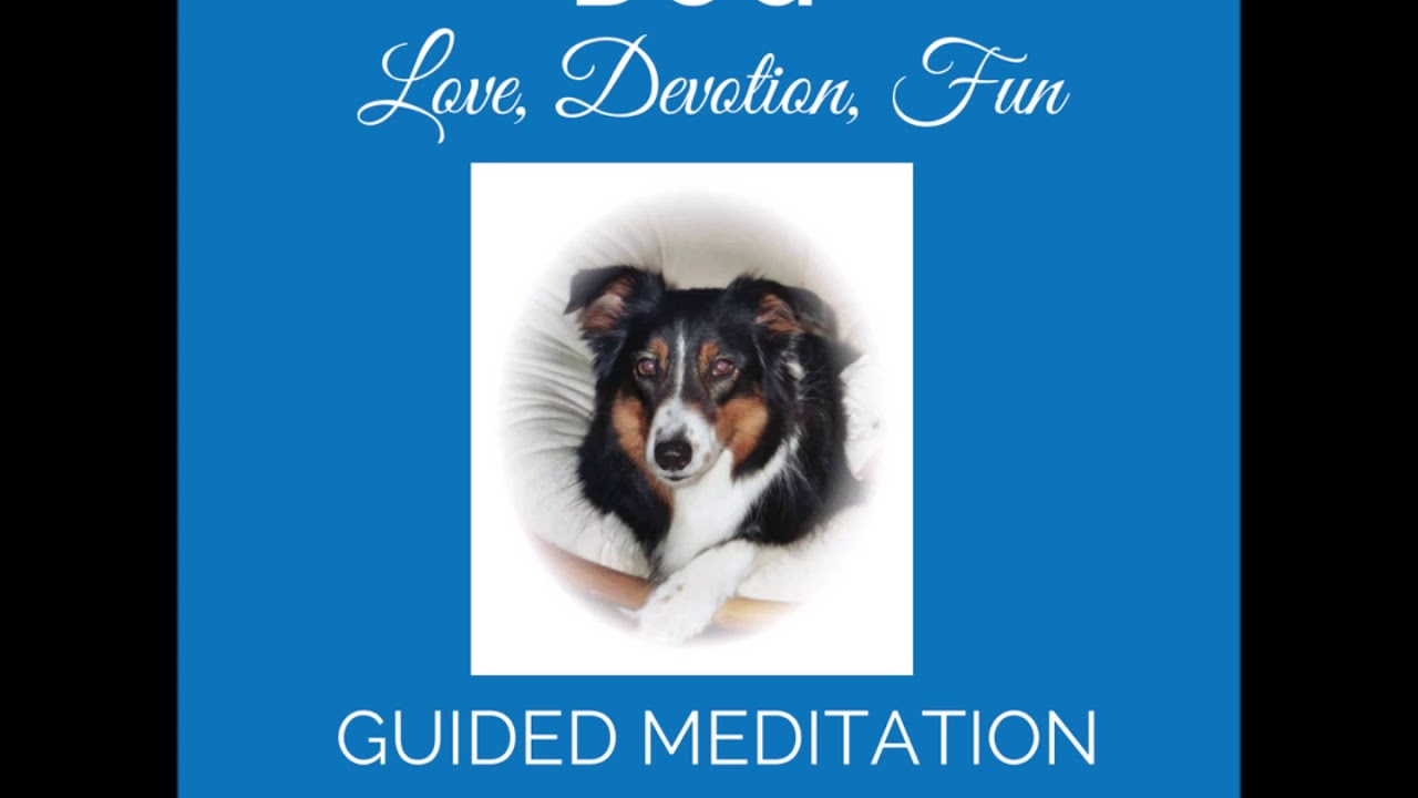 Dog Spirit Guide Mindfulness Meditation (Spirit Animal, Power Animal ...