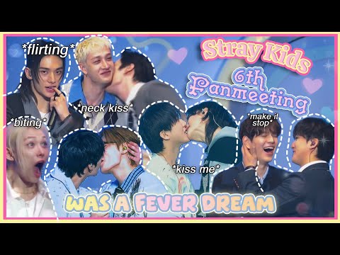 Stray Kids 6th Fanmeeting was a ✨FEVER DREAM✨ (Stay In Our Little House)