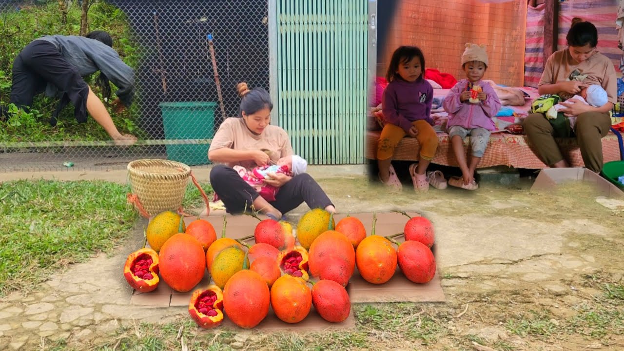 Single mother - struggling to raise children alone, helping babies in ...