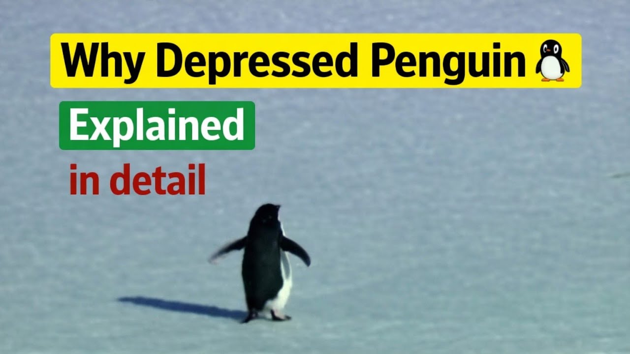 Penguin, Depressed... | Explained In detail - YouTube
