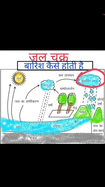 बारिश कैसे होती है? जल चक्र की प्रक्रिया water cycle in Hindi - YouTube