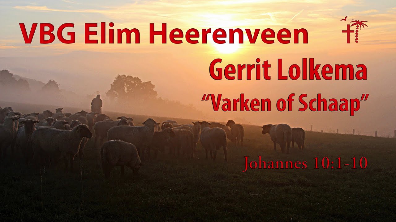 Gerrit Lolkema - "Varken of Schaap" - YouTube