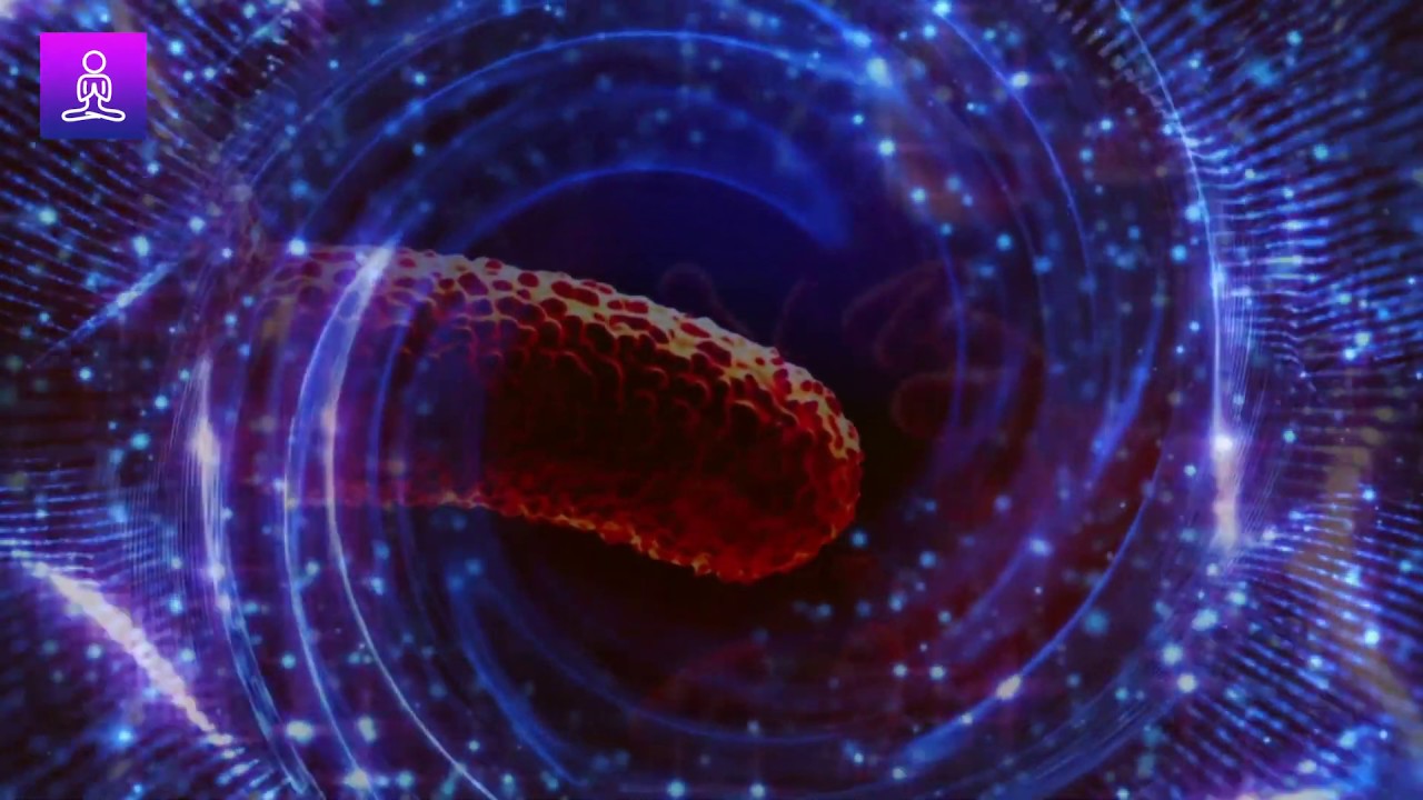 Increase Appetite Subliminal: Music for Hunger and Low Appetite - YouTube