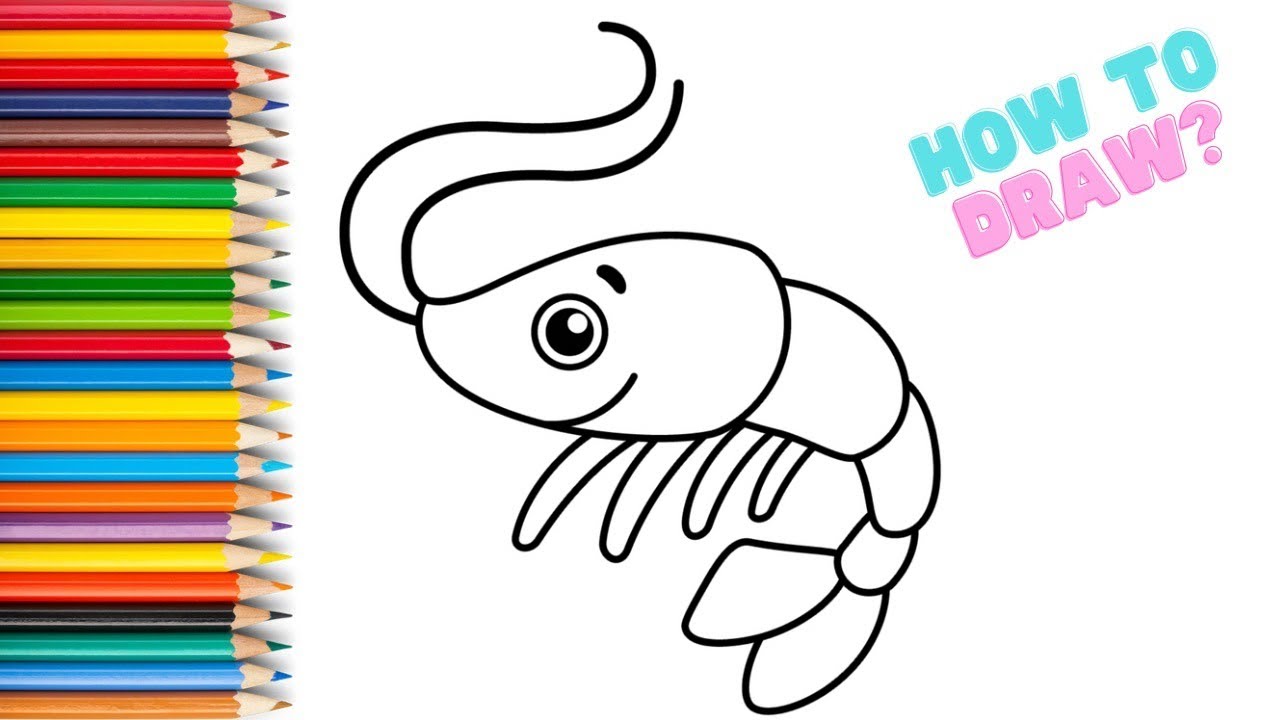 How To Draw A Cute Shrimp, Painting and Colouring for Kids 🦐 - YouTube