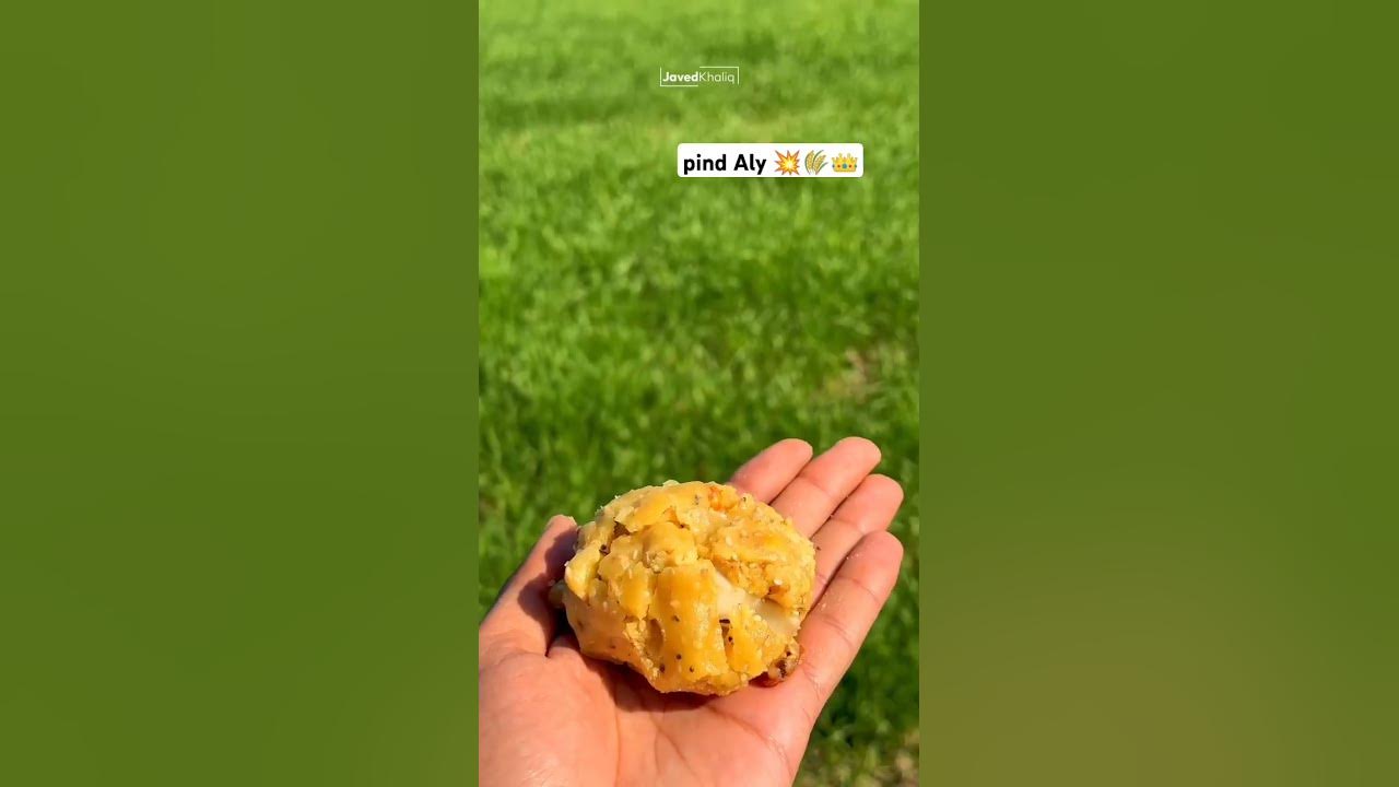 pind Aly 💥🌾👑😍 velliag life 🧬🧬 - YouTube