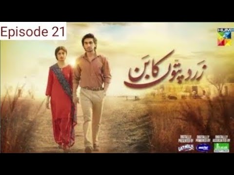 Zard Patton Ka Bunn Episode 21 - | Hamza Sohail | Zard Patton Ka Bunn Ep 21 - HUM TV Drama ...