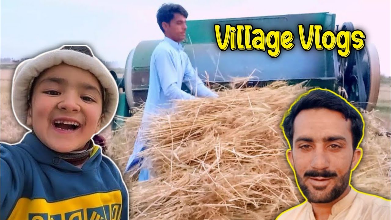 Village Vlogs || Shirazi Village Vlogs || Daily Vlogs 2024 - YouTube