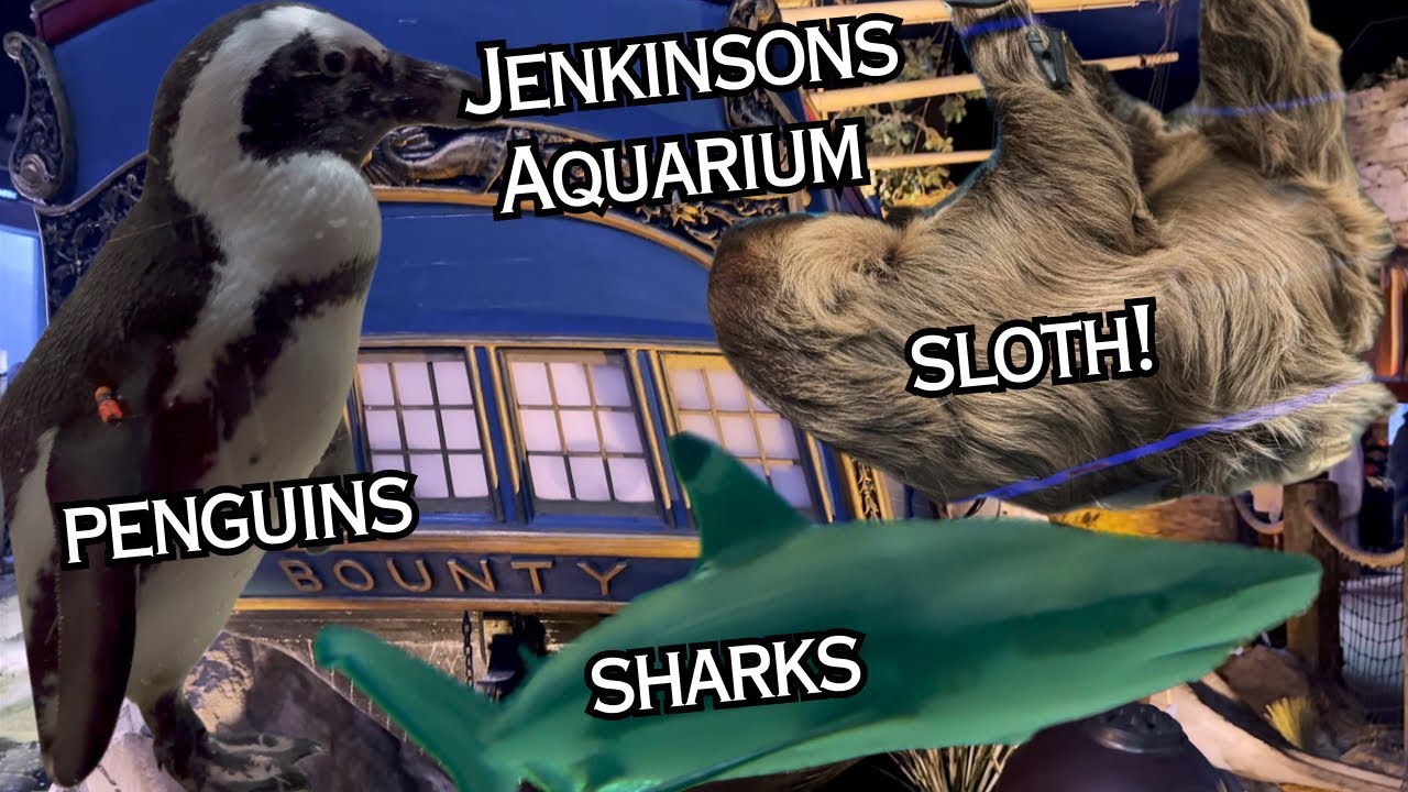 A Day at the AQUARIUM | Jenkinson’s Point Pleasant Beach Boardwalk NJ ...