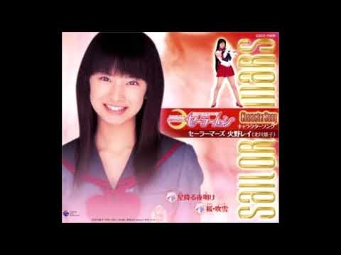 PGSM: Cherry Blossom Storm (Original Karaoke)